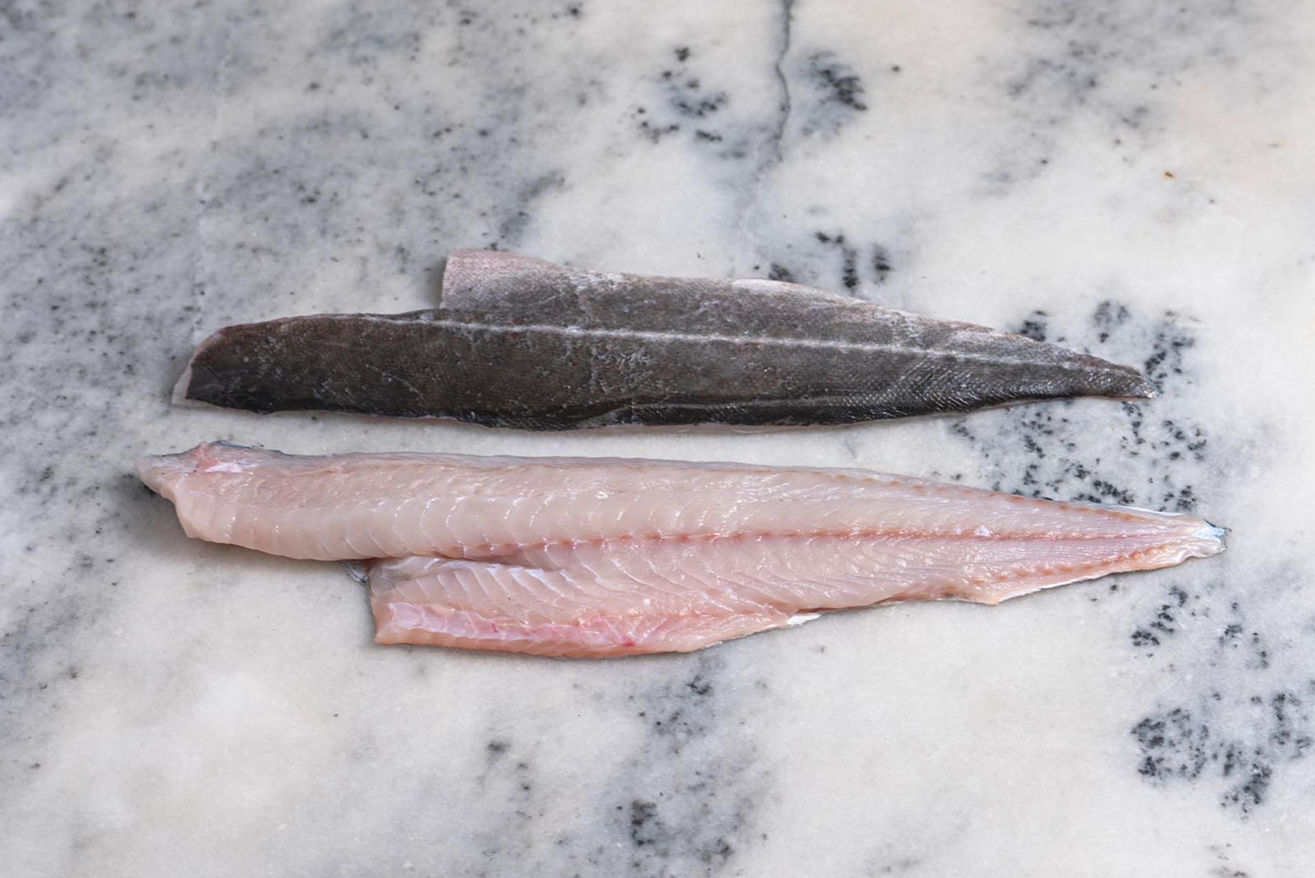 Coley Fillets | Regal Fish