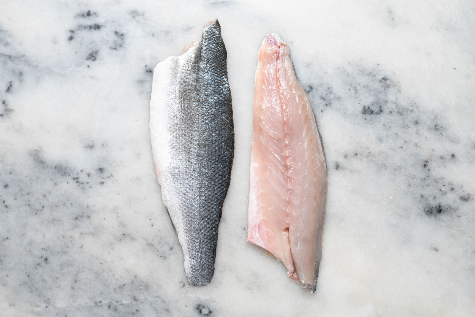 Fresh Sea Bass Fillets | Fillet of Seabass | Regal Fish