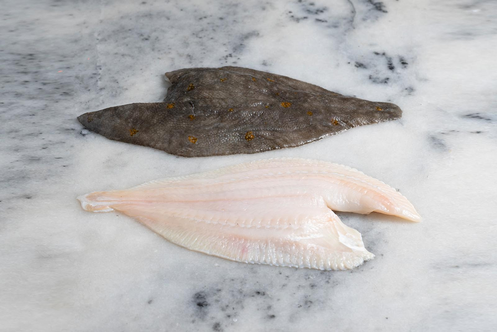 Plaice Fillets - Regal Fish Supplies Limited