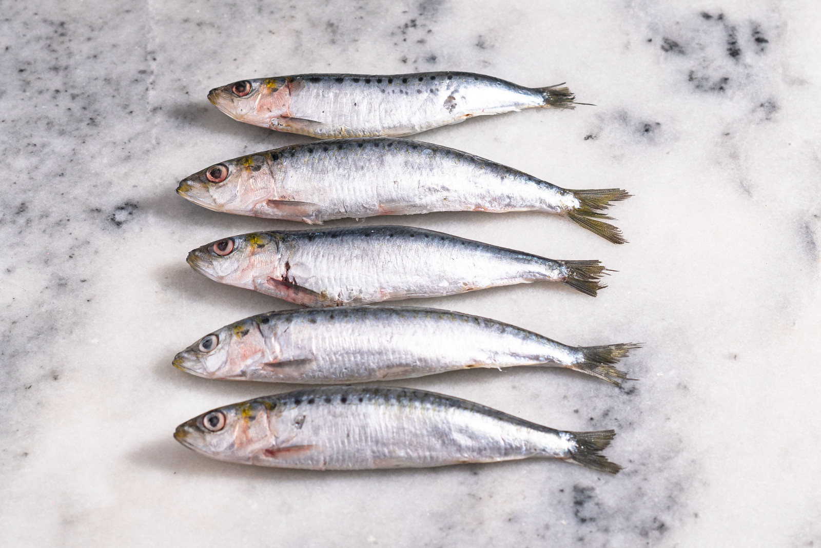Sardines | Regal Fish