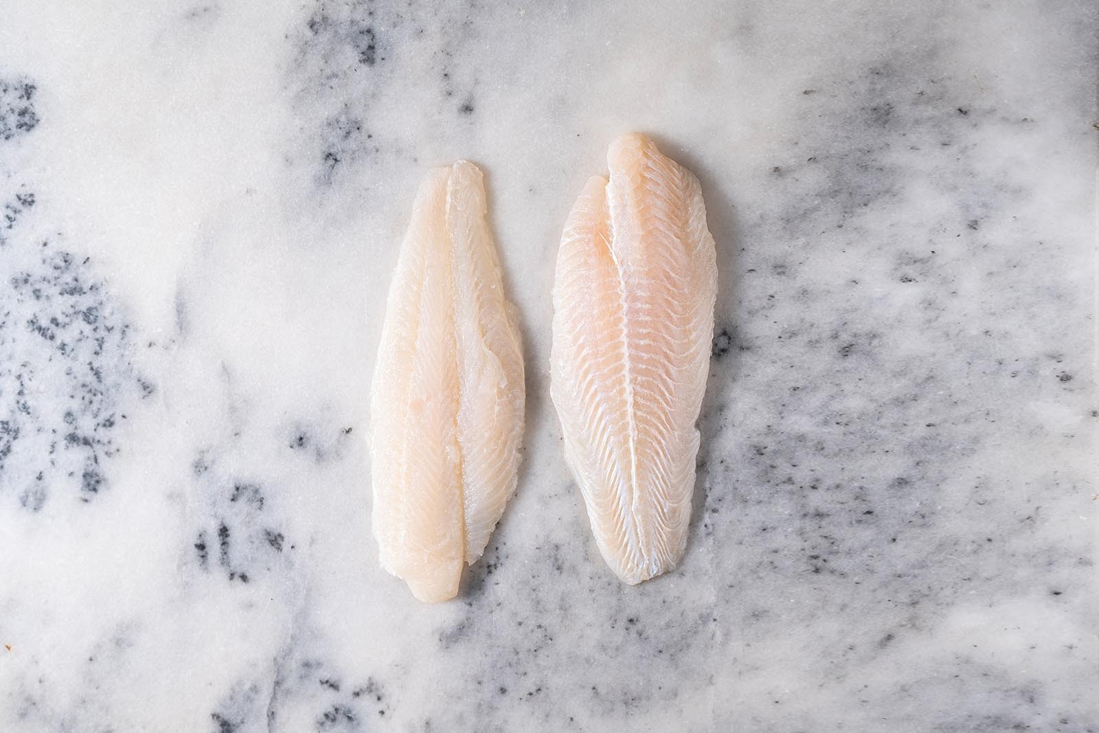 Frozen Basa Fish Fillets | Regal Fish