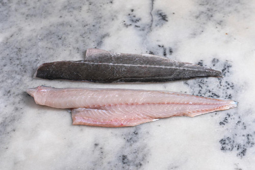 Coley Fillets | Regal Fish