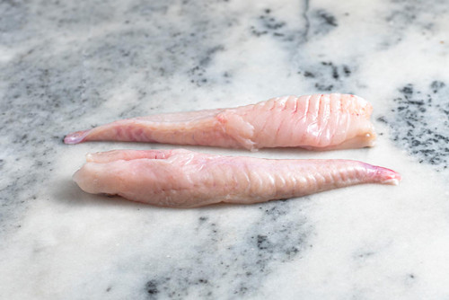 Monkfish Fillets | Fillet of Monkfish | Regal Fish