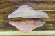 Fresh Atlantic Golden Redfish Fillet - Ready to cook! | Regal Fish