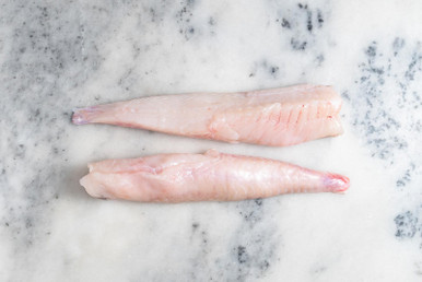 Monkfish Fillets | Fillet of Monkfish | Regal Fish