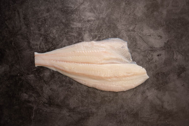 Halibuts Fillets | Regal Fish
