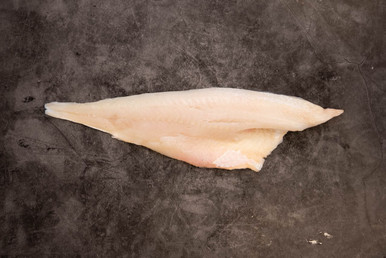 1kg Frozen Full Haddock Fillets - Regal Fish Supplies Limited