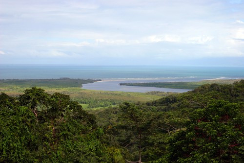 The Daintree - Where The Rainforest Meets the Reef ...