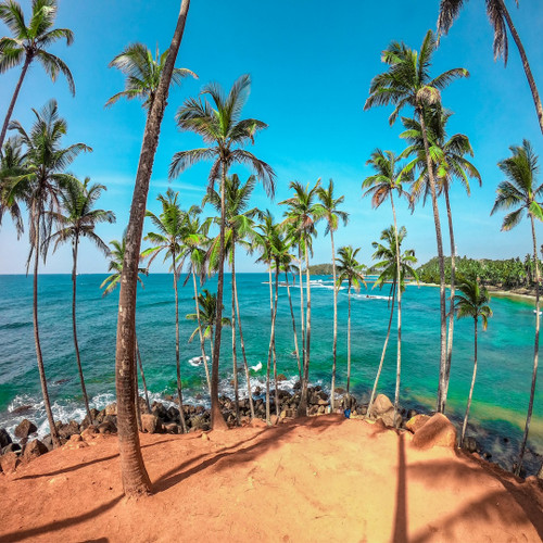 10 Day Sri Lanka Itinerary: Culture, Tea & Coast | UTM
