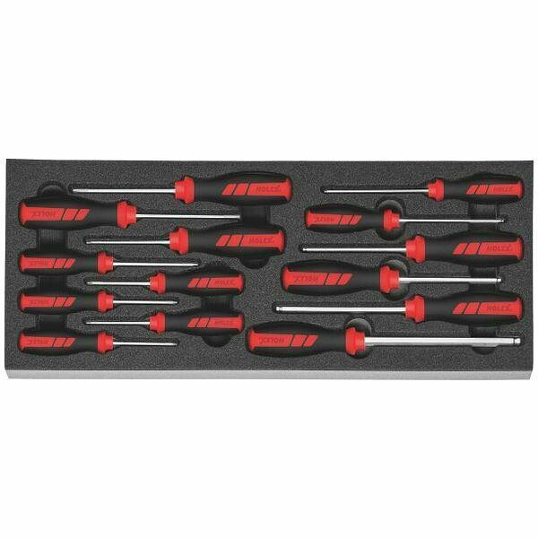 14 Holex Torx® and Hexagon Screwdrivers in Rigid Foam Inlay