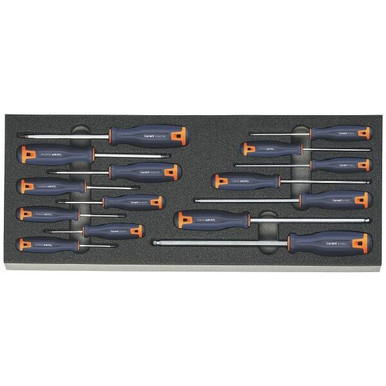 Screwdrivers for Torx® & Hex Set of 15 | Garant | Hoffmann Group USA