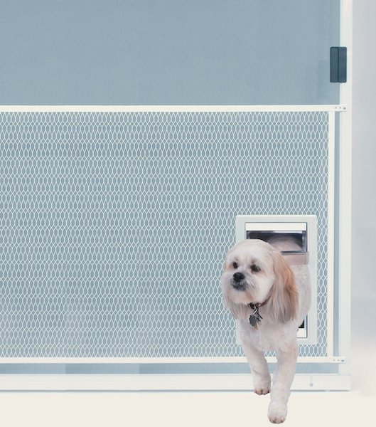 Ideal Screen Guard Pet Door is Named #1 Way to Let Pets Out a Screen ...