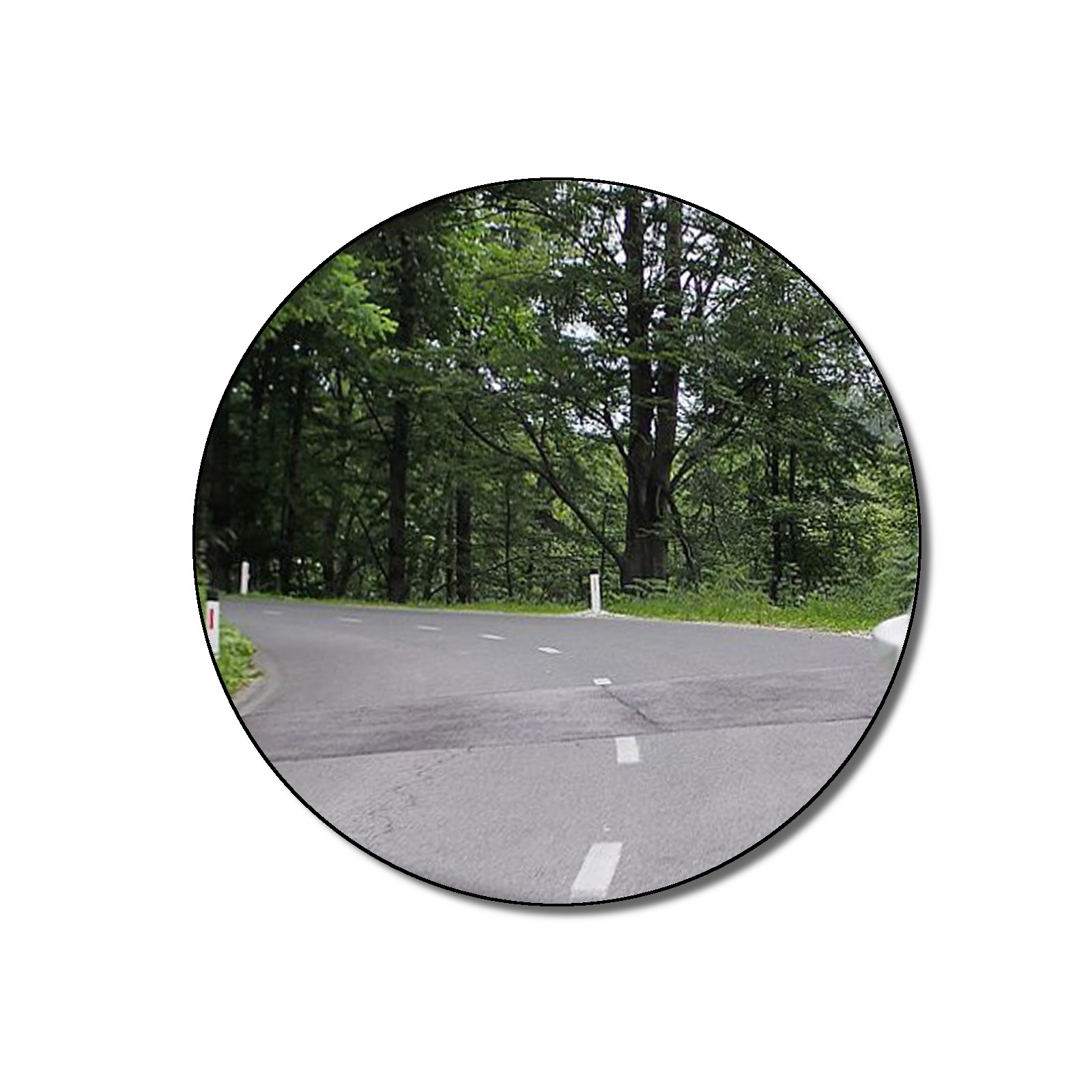 Phoenix Wing Mirrors