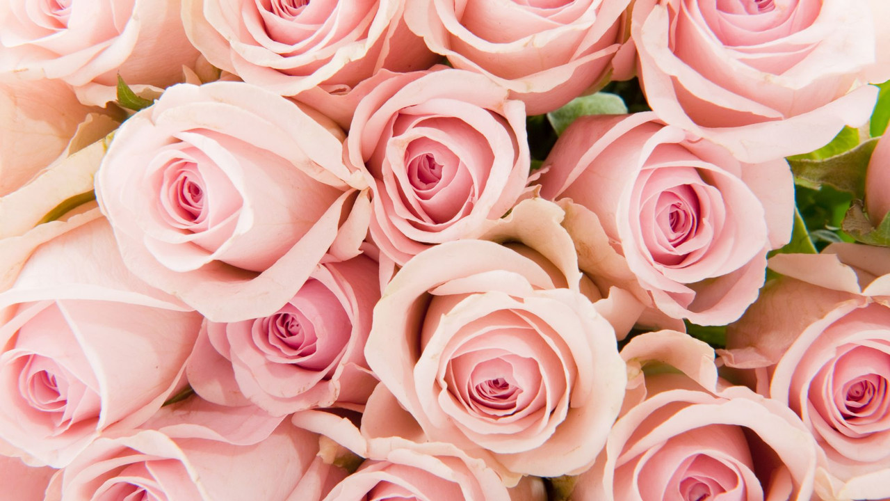 The Meaning Behind Pink Roses - Nancy's Floral