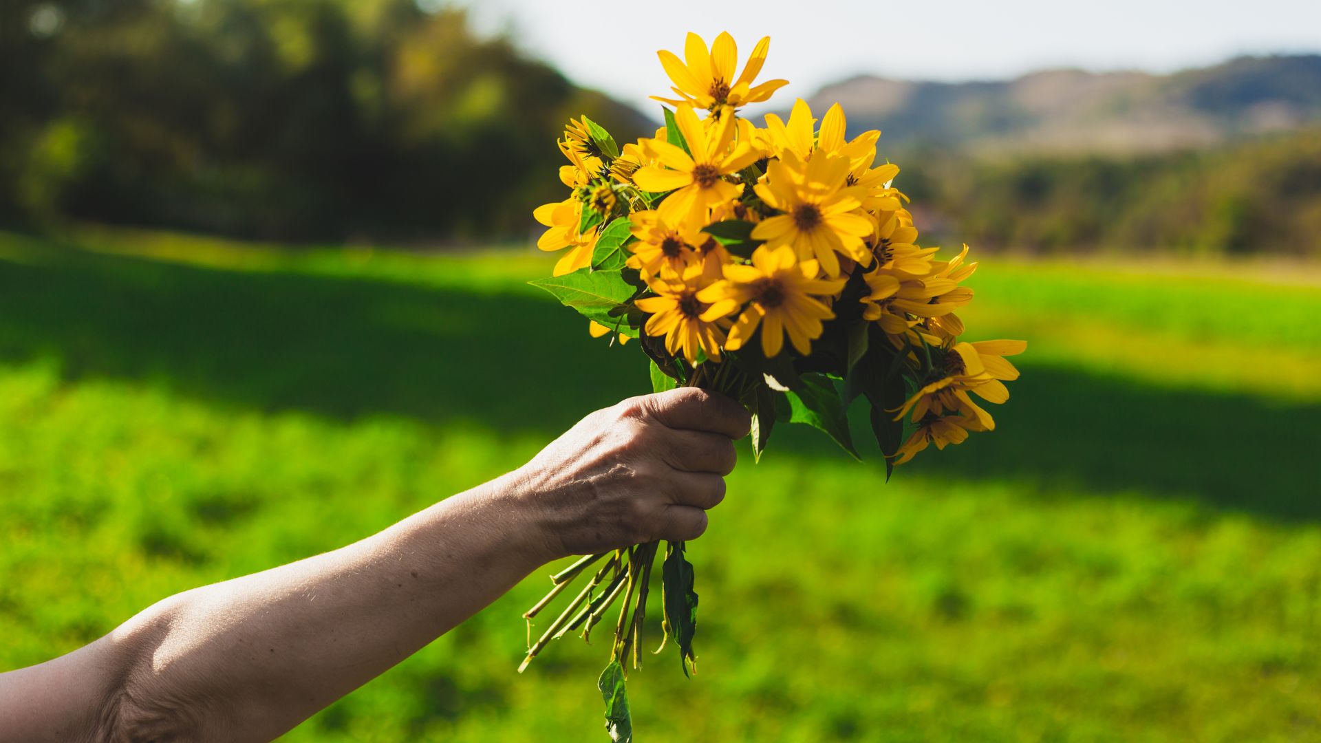 Summer Flowers Your Loved One Will Adore - Nancy's Floral