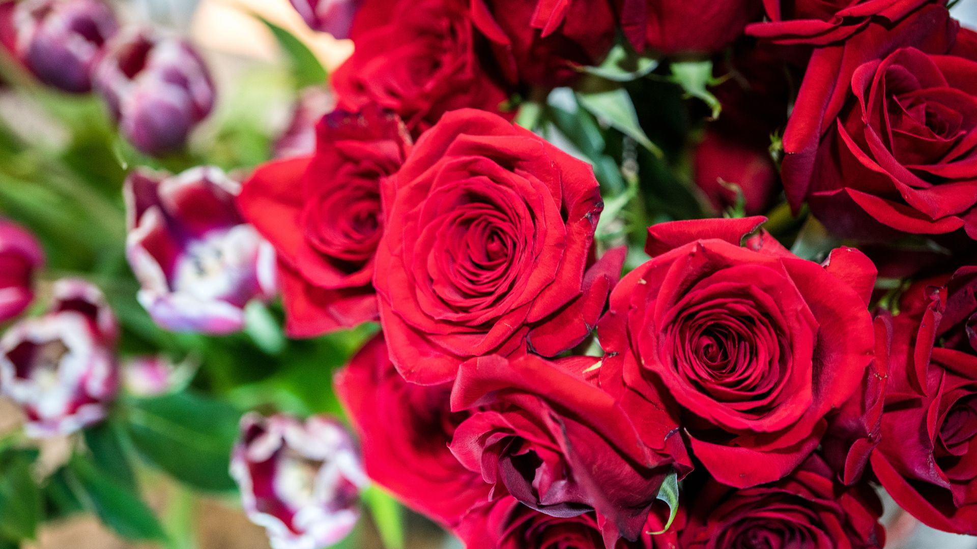 The Language of Love: Symbolic Flowers for Valentine's Day - Nancy's Floral