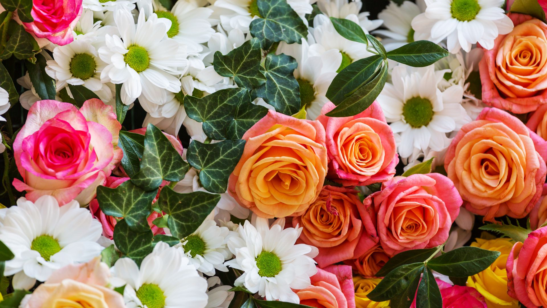 The Meaning Behind Different Types of Flowers - Nancy's Floral