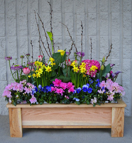 Top Seasonal Flowers for Springtime Gifting - Nancy's Floral