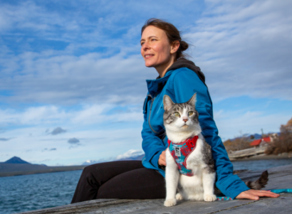 Dog Harnesses | Training & Everyday Harnesses | RC Pets