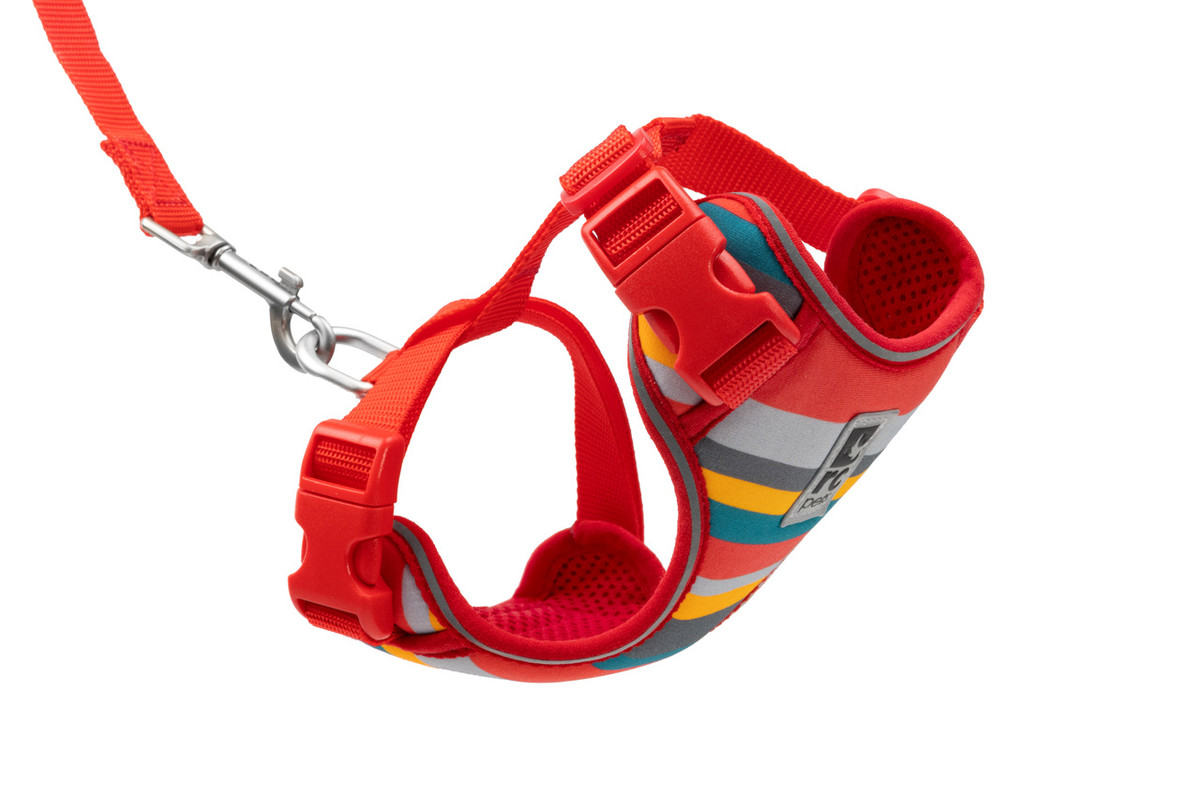 Adventure Kitty Harness |Cat Harness and Leash for Walking
