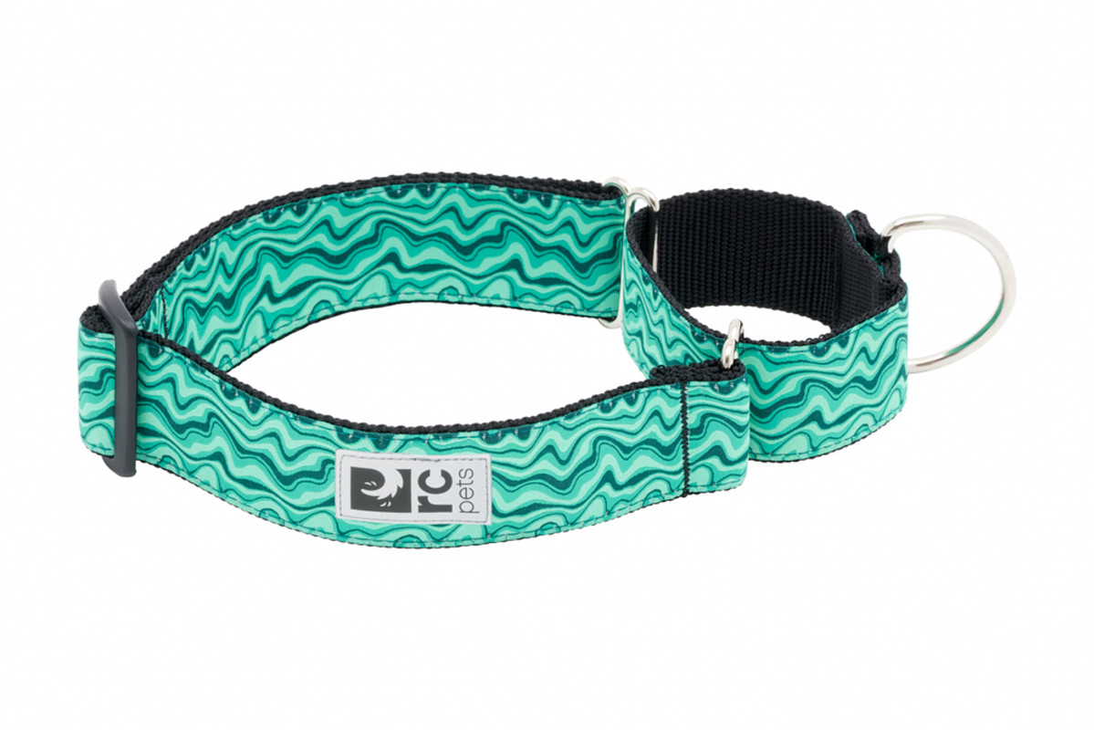 Dog Collars | RC Pets
