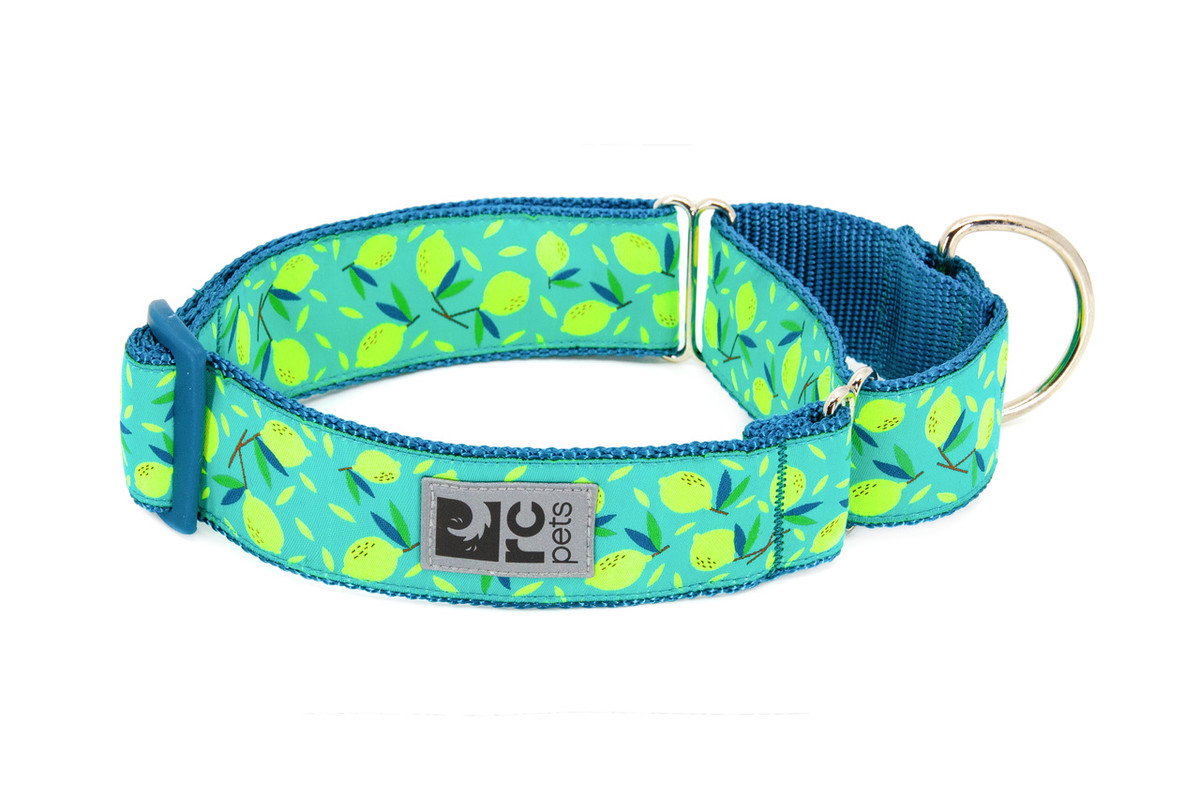 Dog Collars | RC Pets
