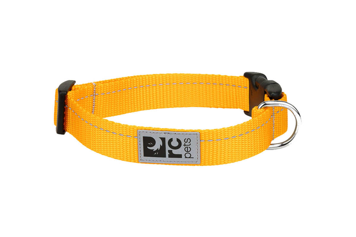 Dog Collars | RC Pets