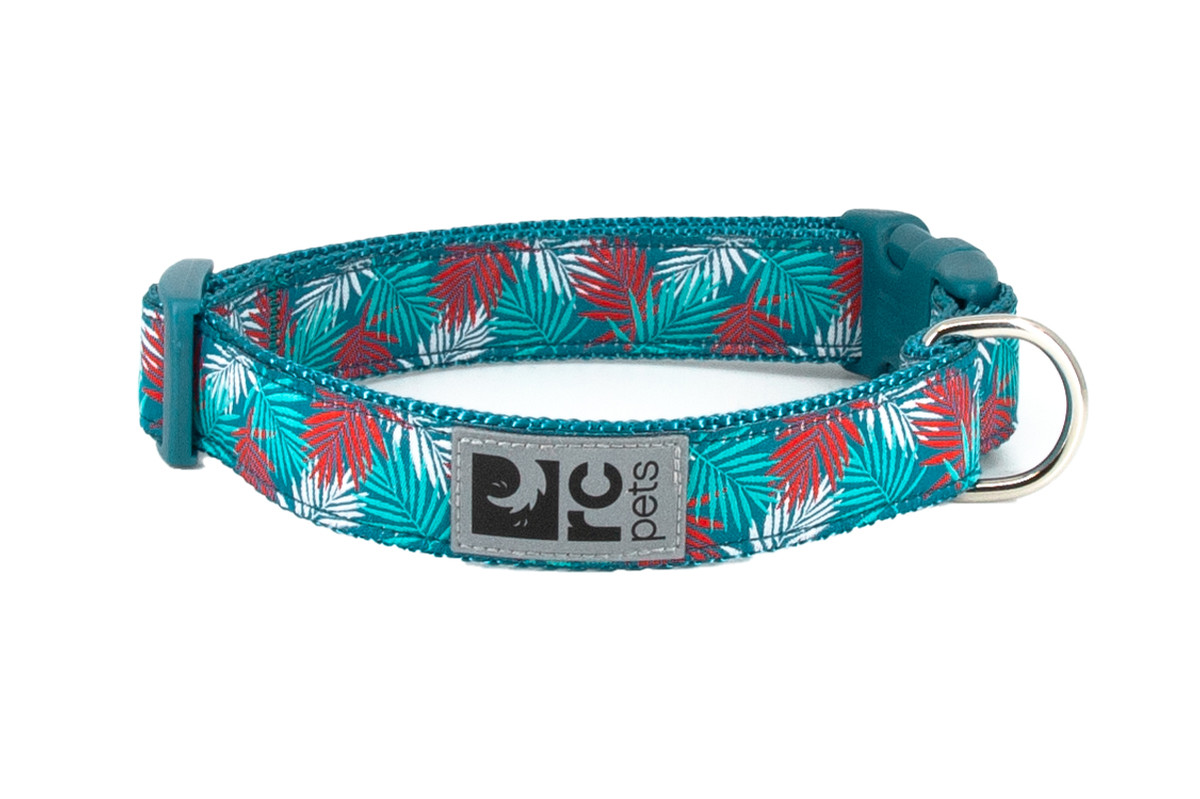 Dog Collars | RC Pets