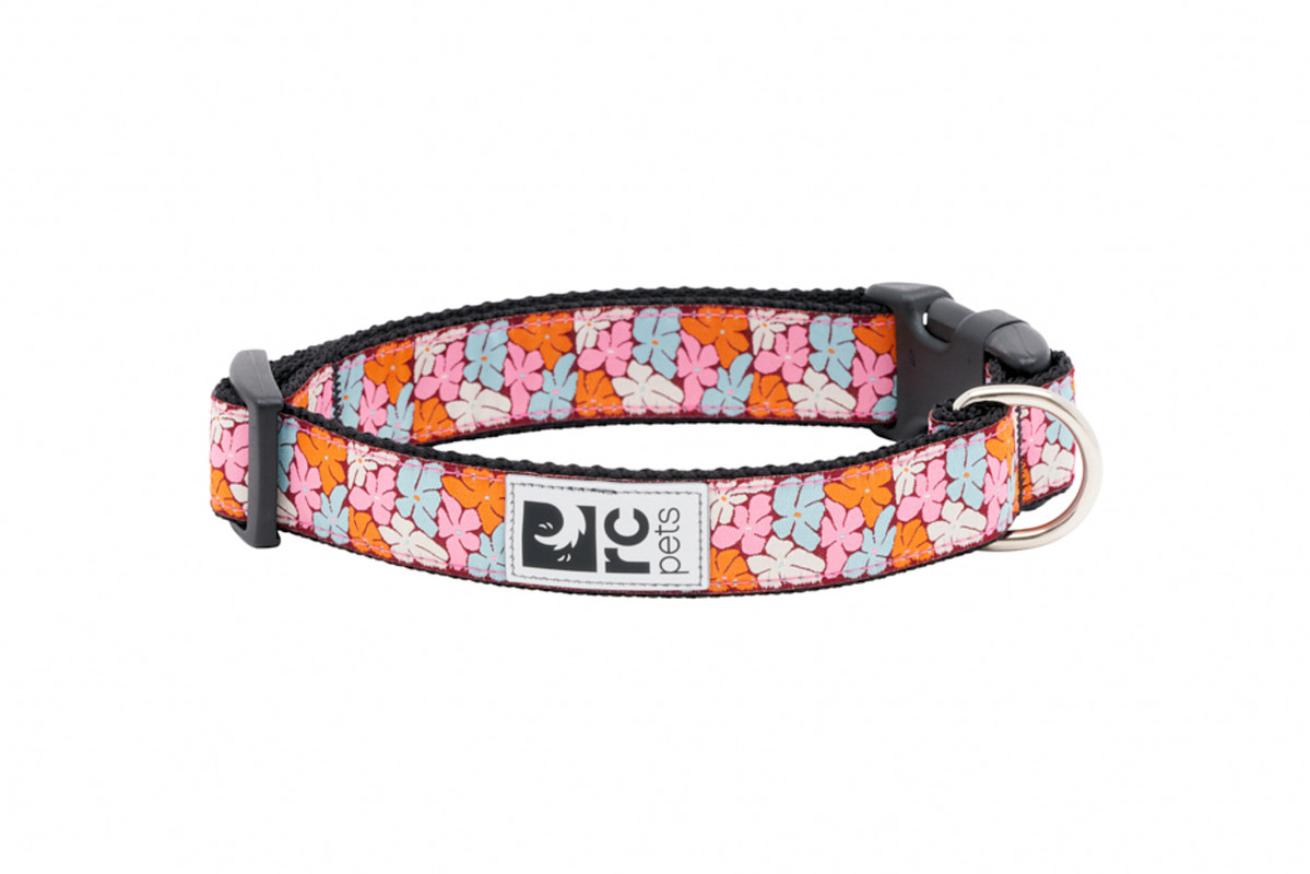 Dog Collars | RC Pets