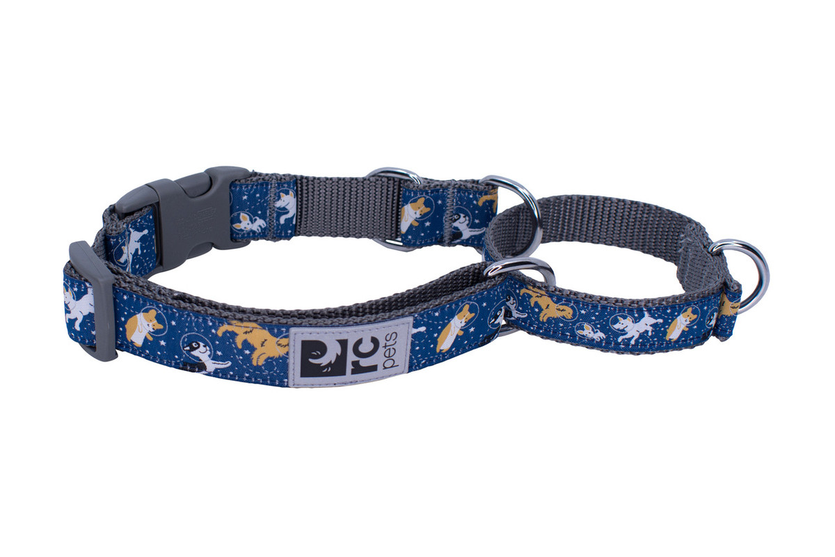 Dog Collars | RC Pets