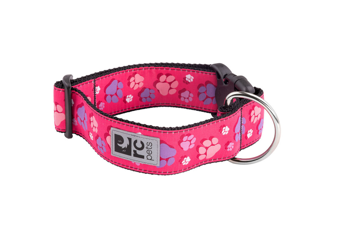 Dog Collars | RC Pets
