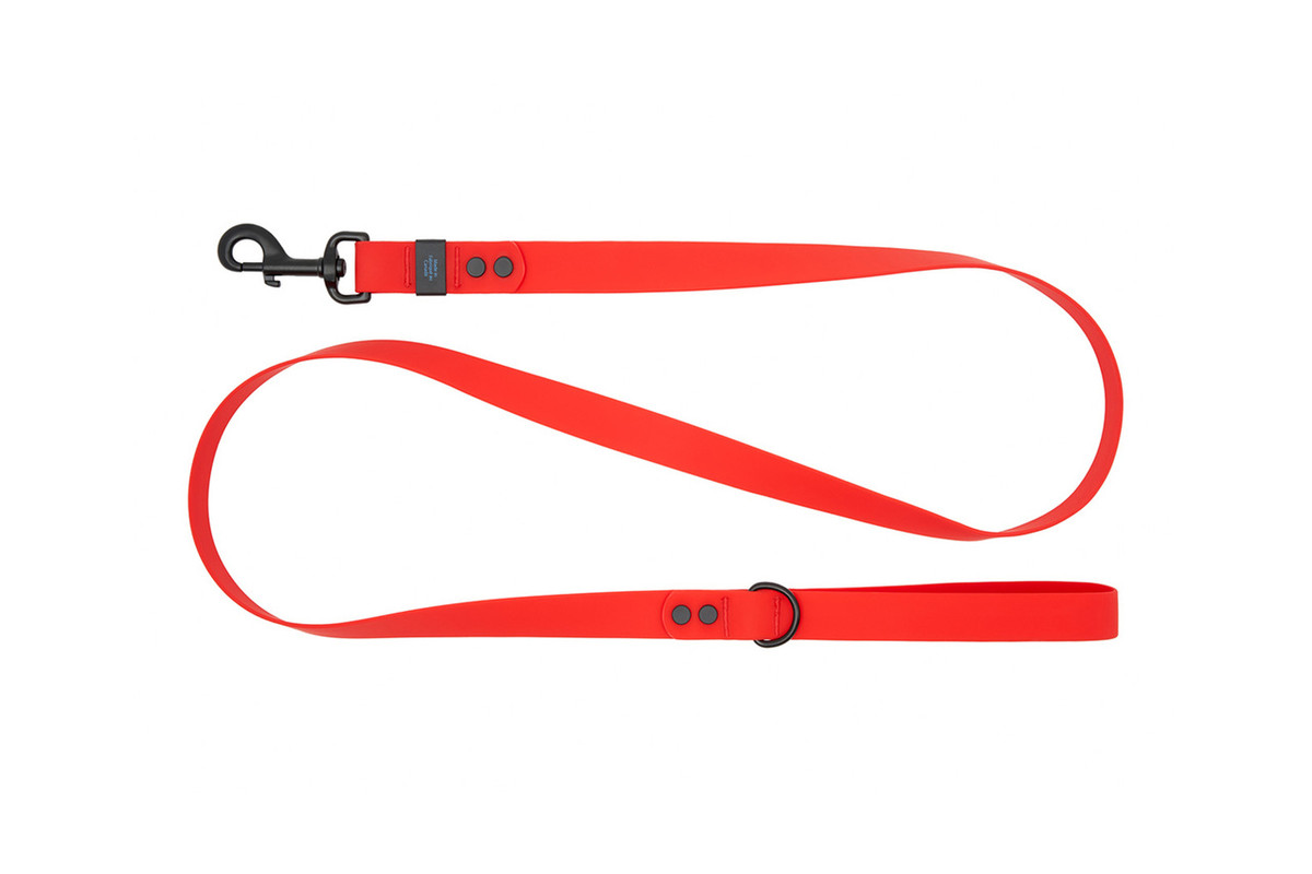 Waterproof Leash
