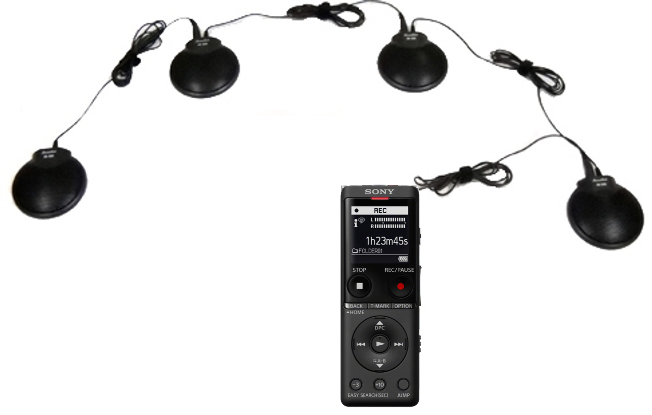 Easy Wireless Meeting Recorder with 2 Wireless Microphones for ...
