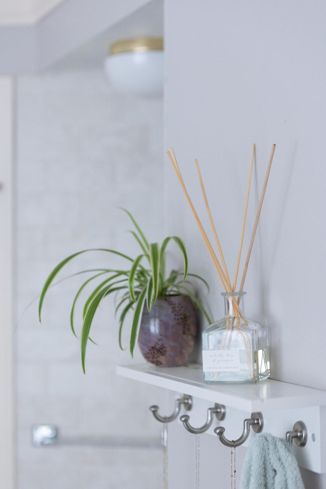 reed diffuser WHITE TEA & GINGER | Eco Candle Co.