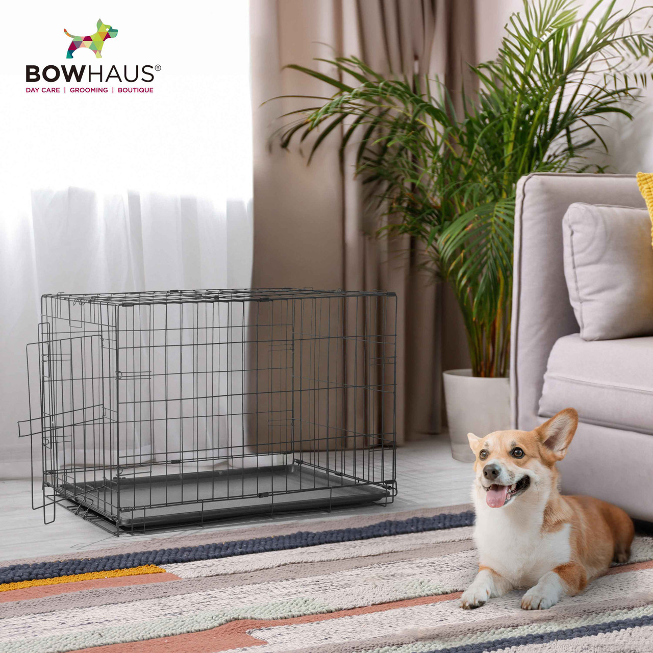 Dog Kennel w/Lock, Divider Panel, Leak-Proof Pan & Feet