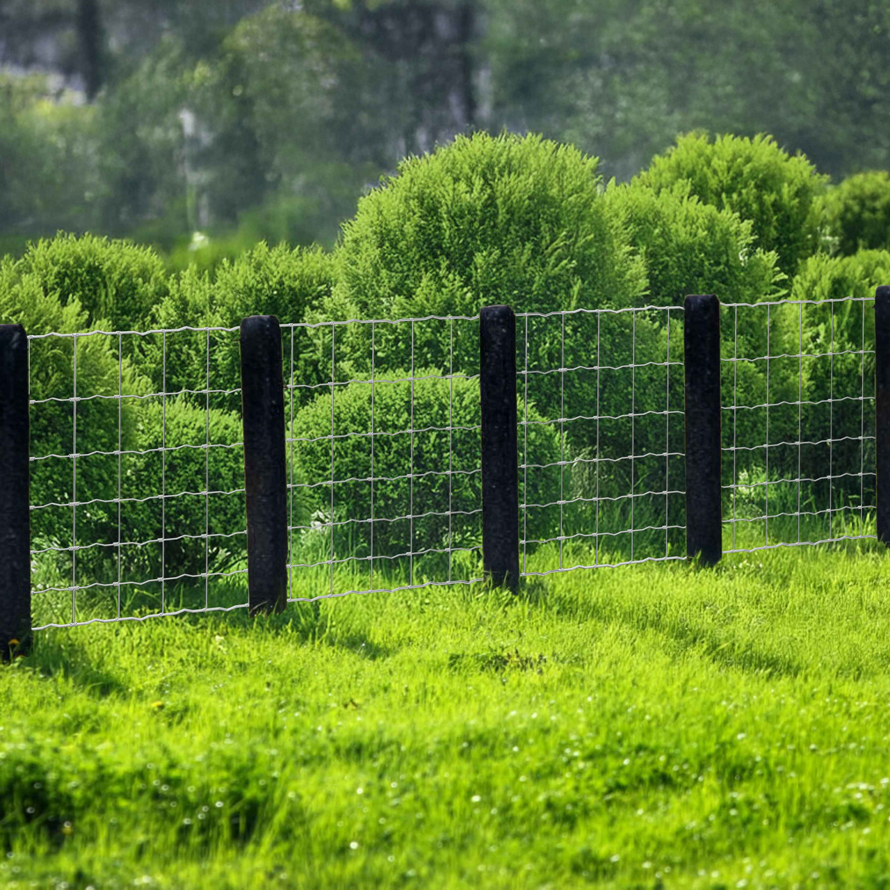 Cattle Panel Fence, 12.5/10 Gauge Graduated Mesh