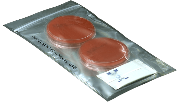 BD GasPak EZ Anaerobe Pouch System – Complete Water-Free Anaerobic Kit ...