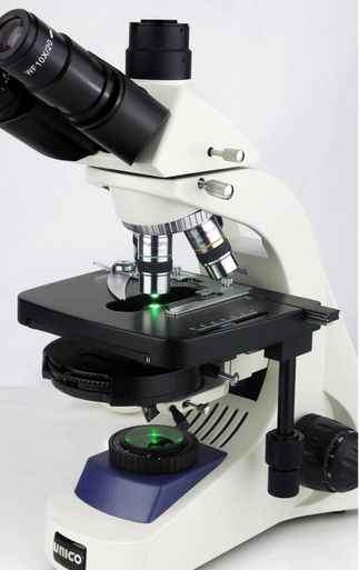 Unico Phase Microscope – Trinocular Head, WF10X | MedicalEx