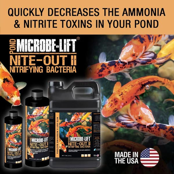 Microbe-Lift Nite-Out II Nitrifying Bacteria 32 oz - Fitz's Fish Ponds