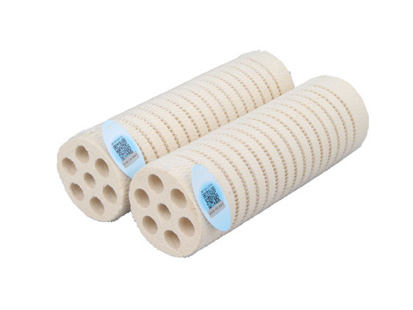 Mountain Tree Lotus Root Bacteria House