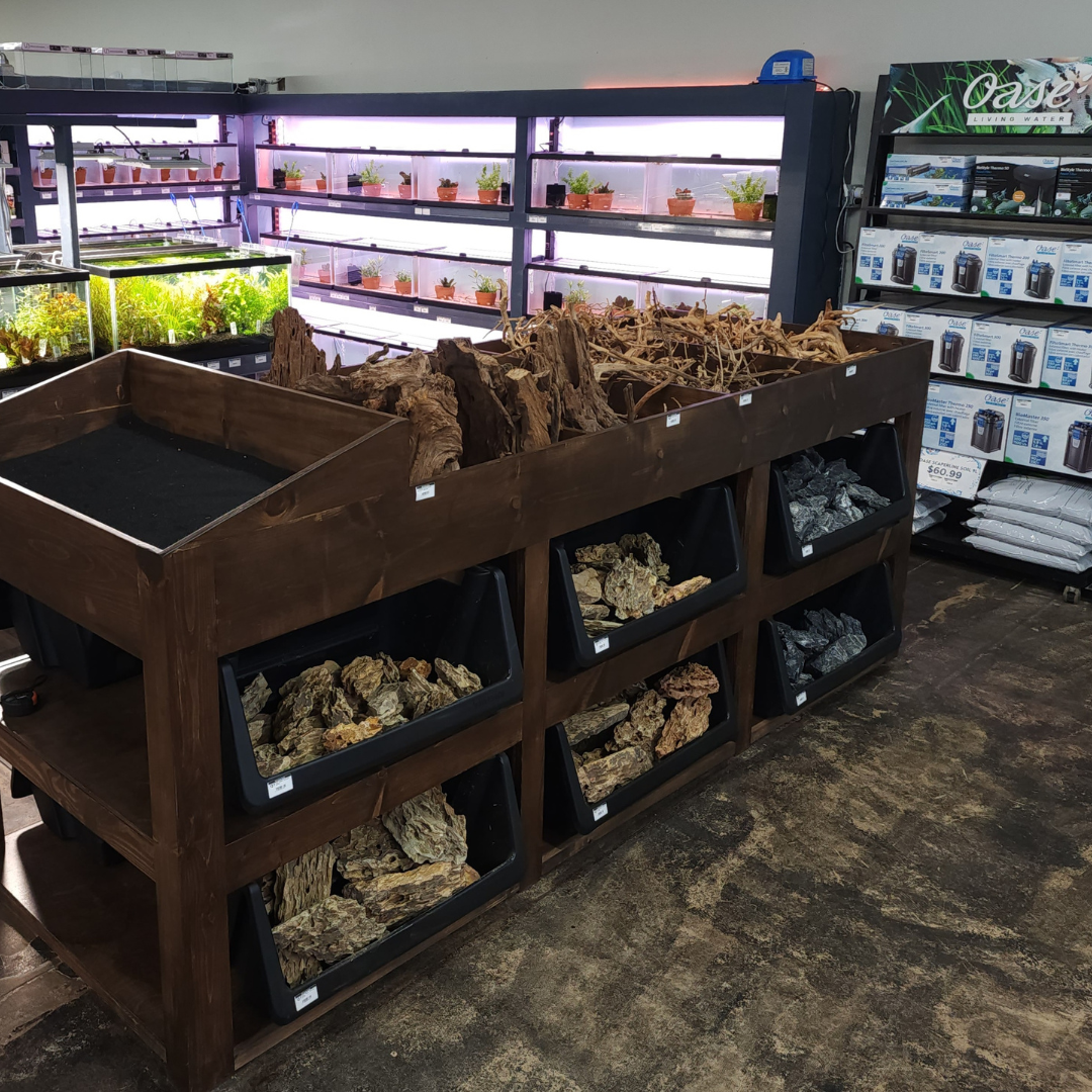 Jennifer Bujalski | Meet Our Team at Fitz's Fish Ponds