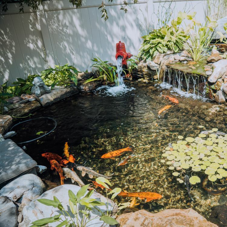 Fish Ponds How To Build A Pond Easily, Cheaply And Beautifully • The