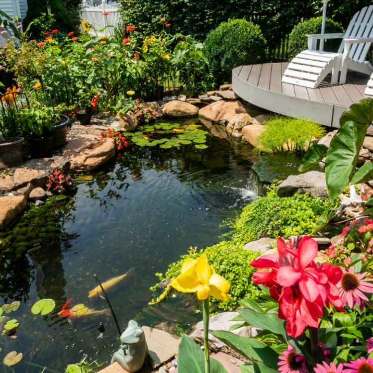 Large Fishing Pond Layouts