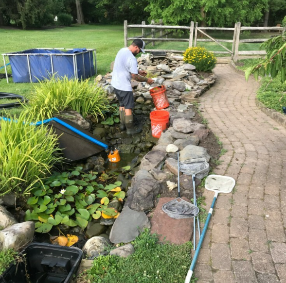 How a Pond Maintenance Service Extends the Life of Your Pond - Pond Magic