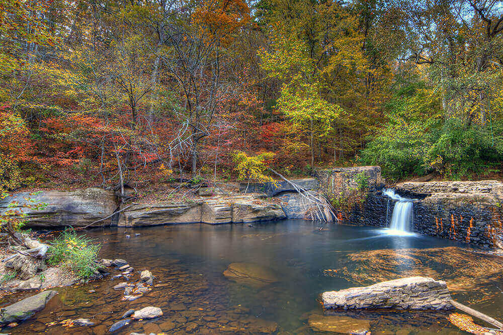 How To Effectively Manage Pond Dams - Fitzs Fish Ponds