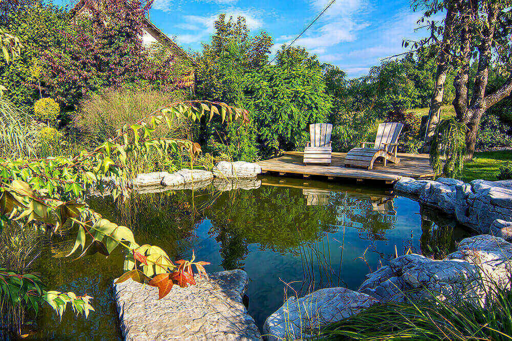 How Wind Affects Ponds - Fitzs Fish Ponds