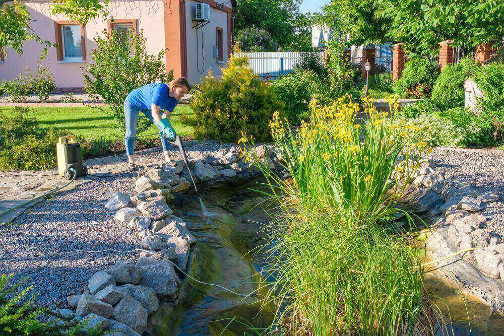 Important Tips To Keep Your Pond Water Clean And Clear - Fitzs Fish Ponds