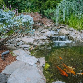 Pond Construction in Montclair, NJ | Fitz's Fish Ponds