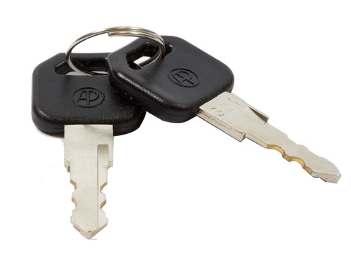 Keys for Auspicious Key Selector Switches 301 (Set of 2) - Alpinetech