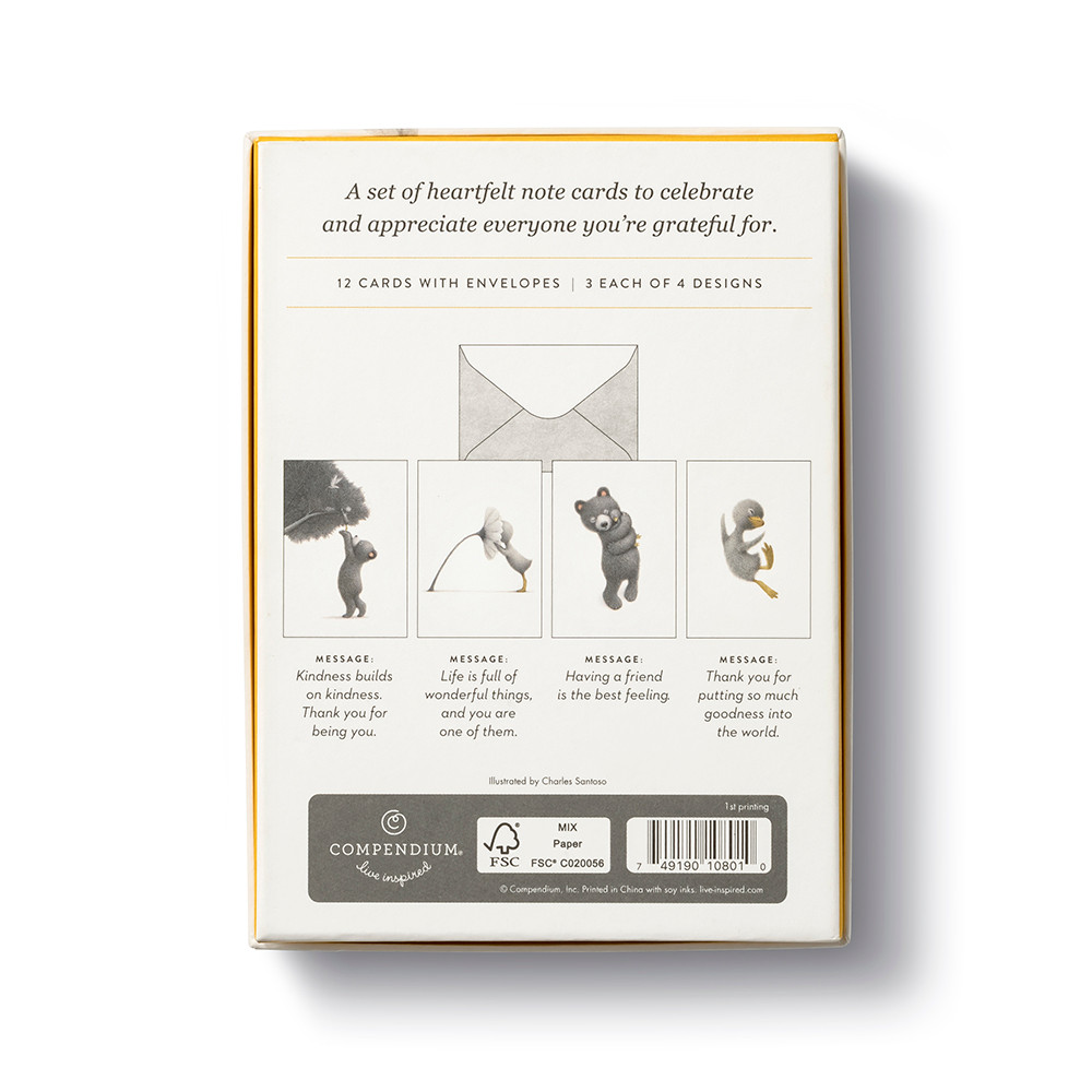 So Much Gratitude, Boxed Note Card Set | Compendium